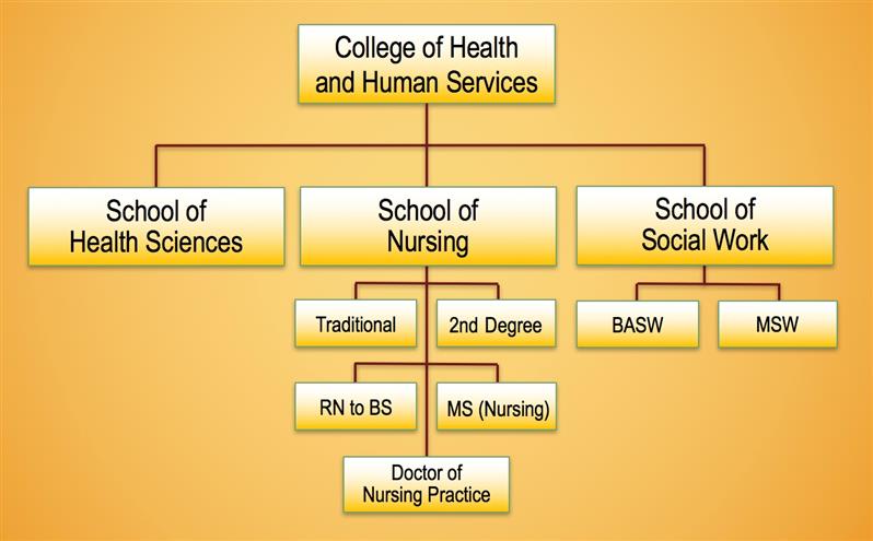 02-06-2018 - SU Creates New College of Health and Human Services ...