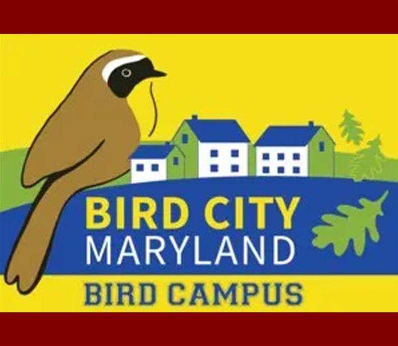 03-17-2022 - SU Earns 'High Flyer' Maryland Bird Campus Distinction ...
